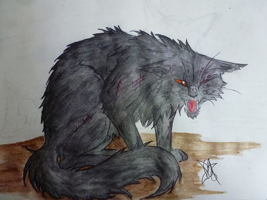 Greebo - Discworld & Terry Pratchett Wiki